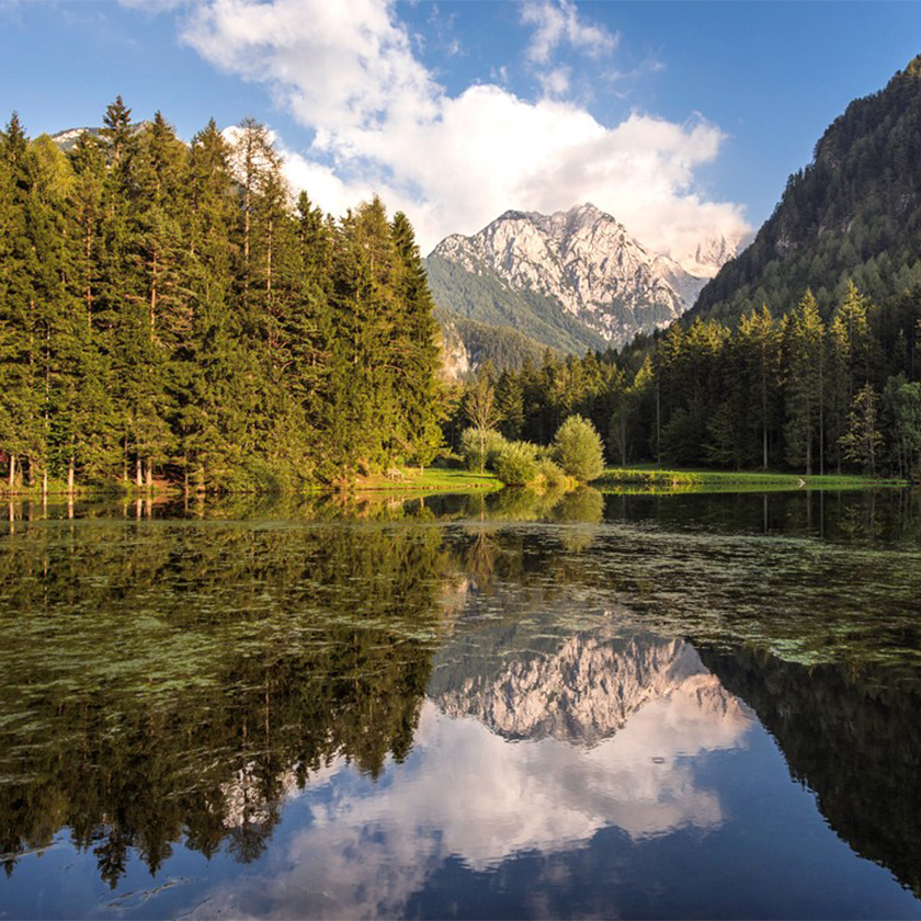 POLETNA OSVEŽITEV V ALPAH - Vila Planinka